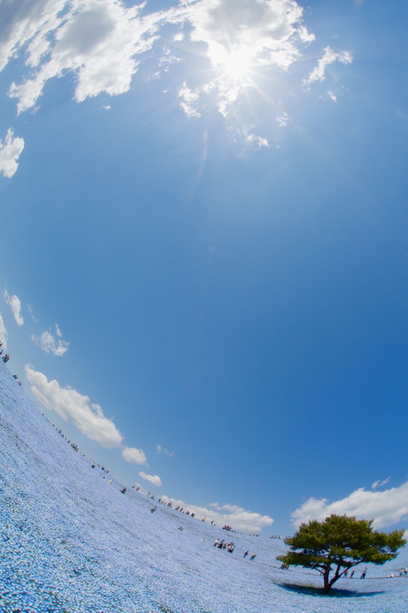 Big Blue Wave | GANREF