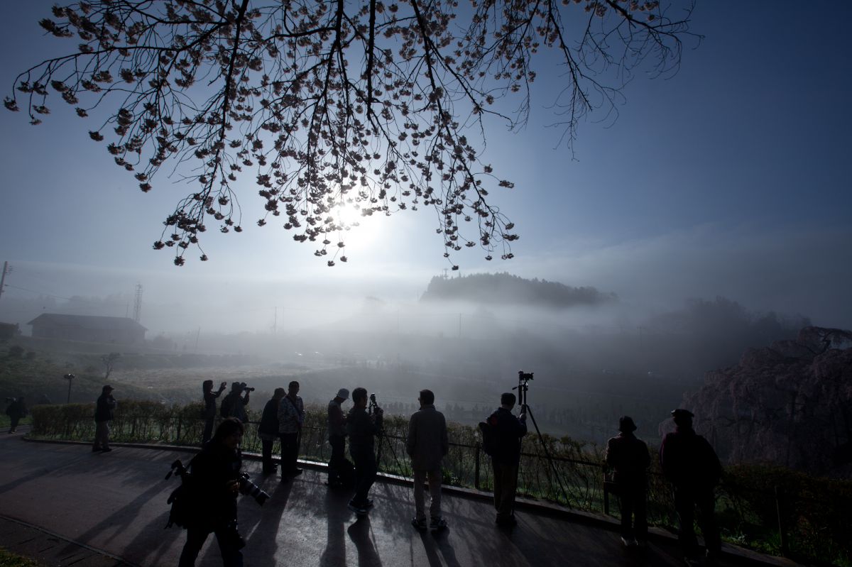 after fighting | GANREF