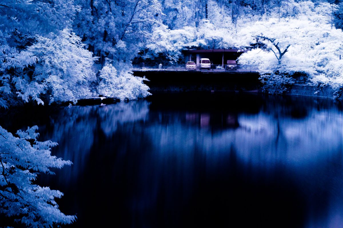Infrared Snow | GANREF