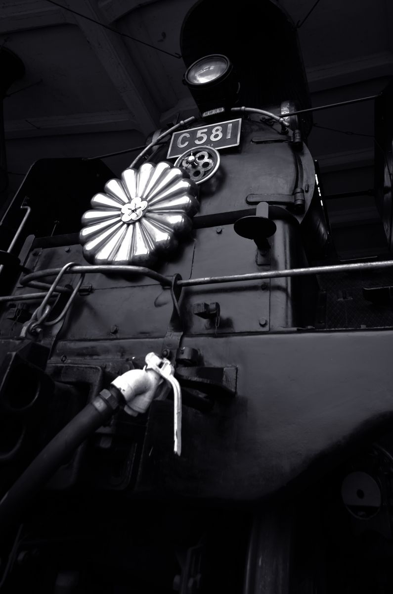 Royal Express | GANREF