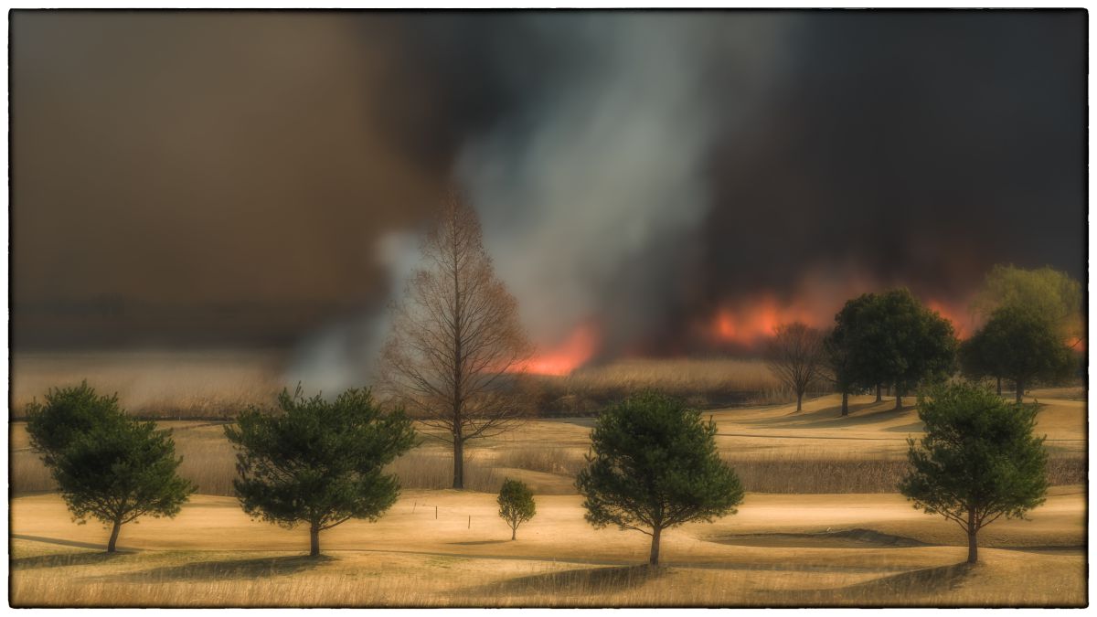 Burning field | GANREF