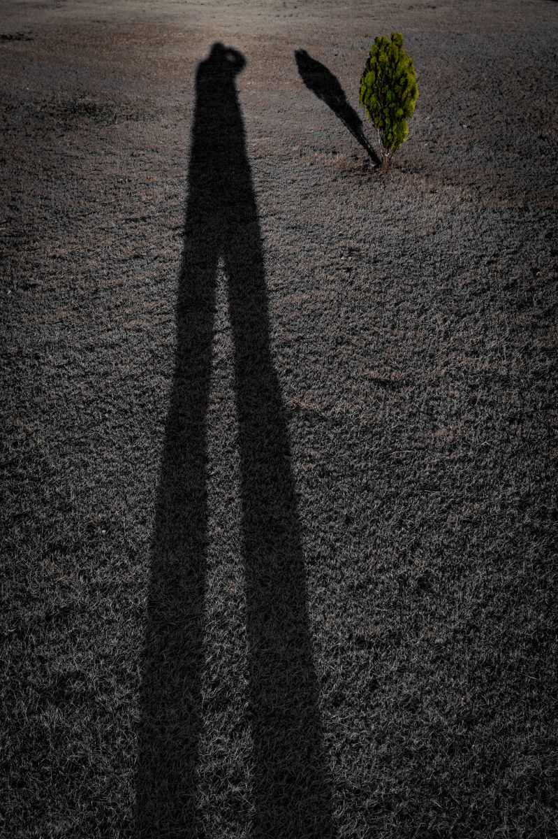 Two shadows | GANREF