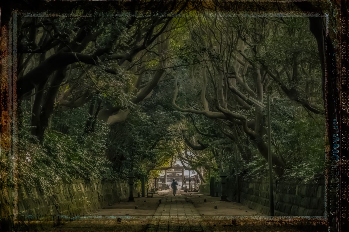 Sightseeing | GANREF