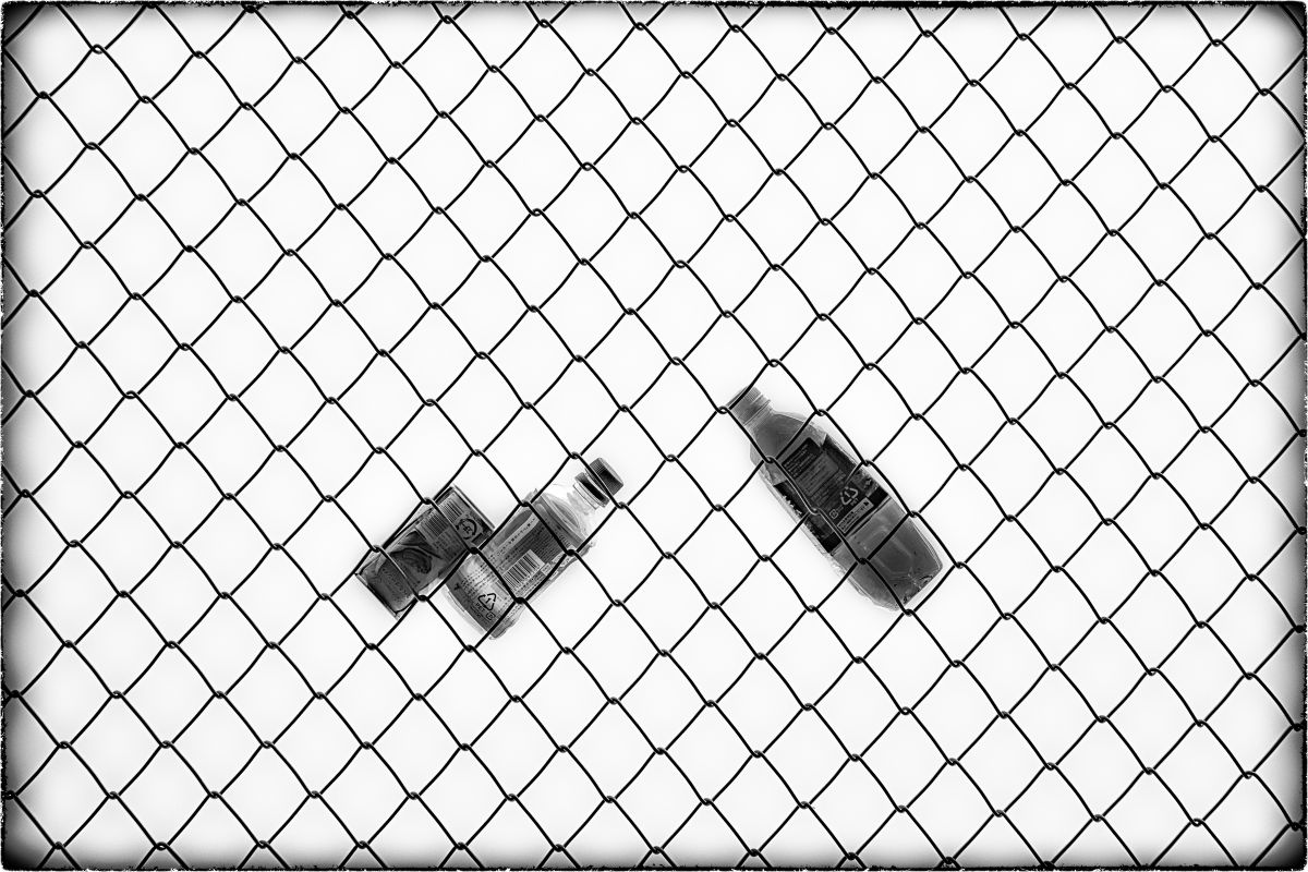 Wire netting | GANREF