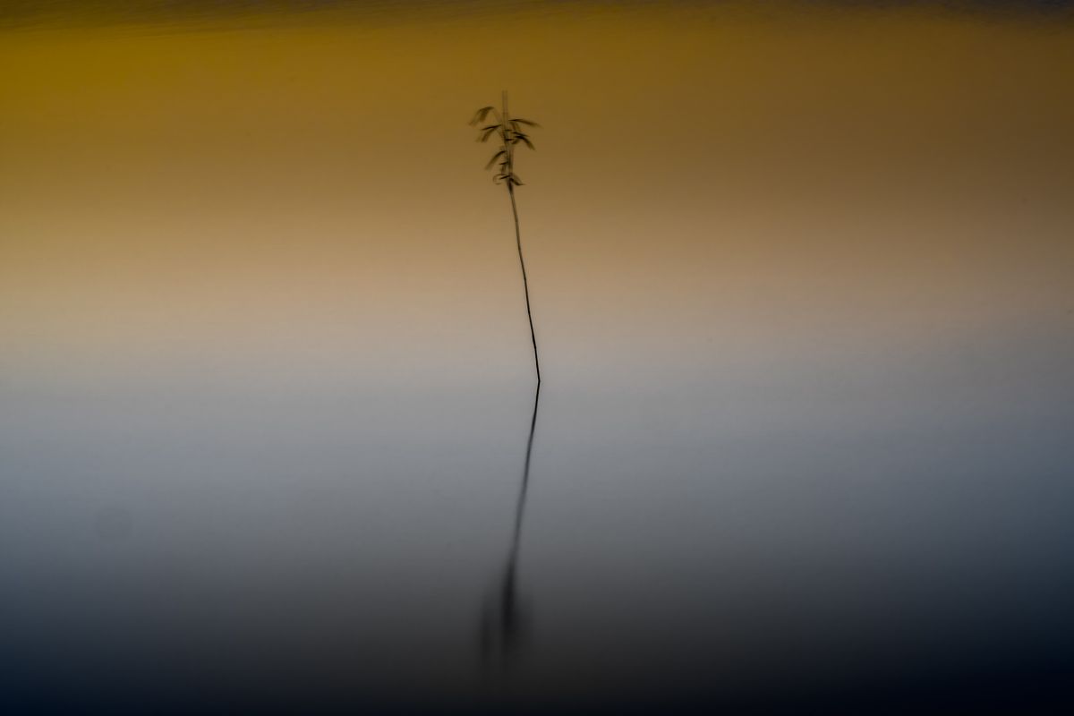 Glassy surface of water | GANREF