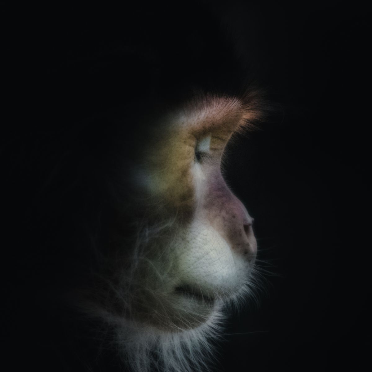 Close your eyes | GANREF