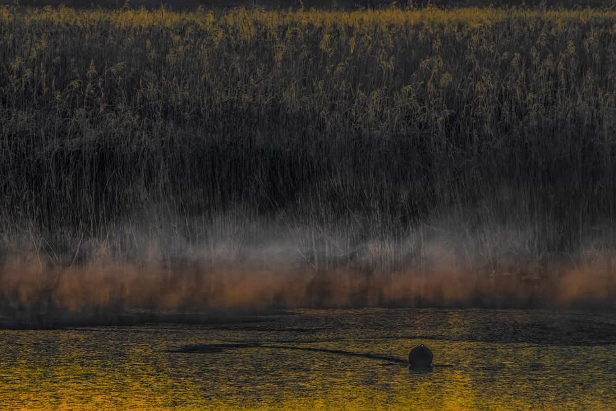 Frozen wetlands | GANREF