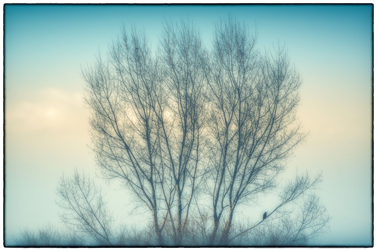 Soft morning | GANREF