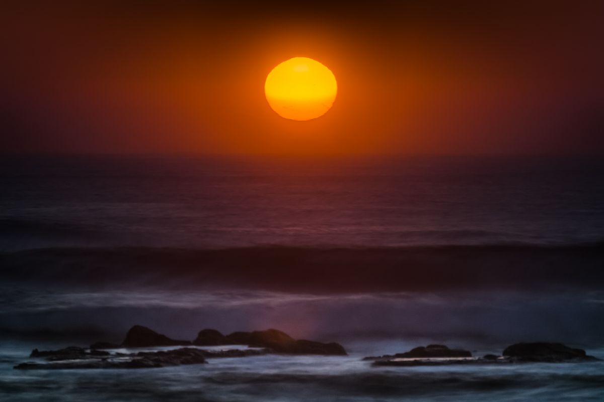 Dawn of the Planet | GANREF