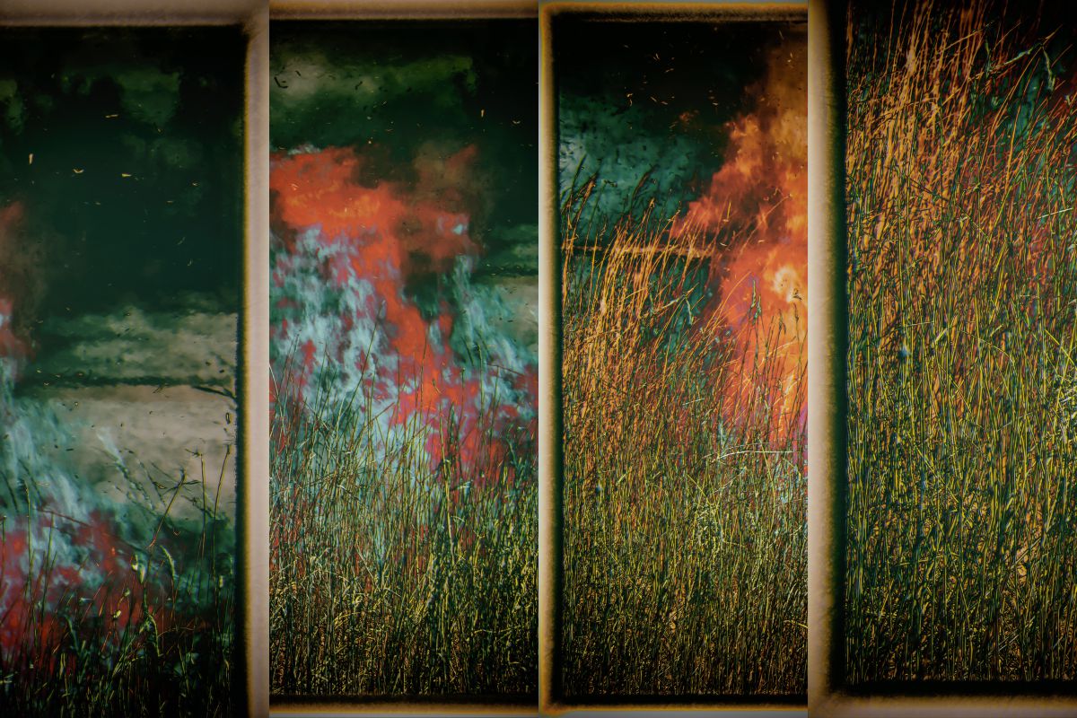 Memory of the flame | GANREF