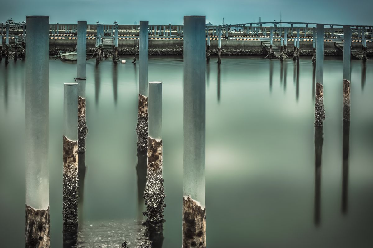 The mirror surface world | GANREF