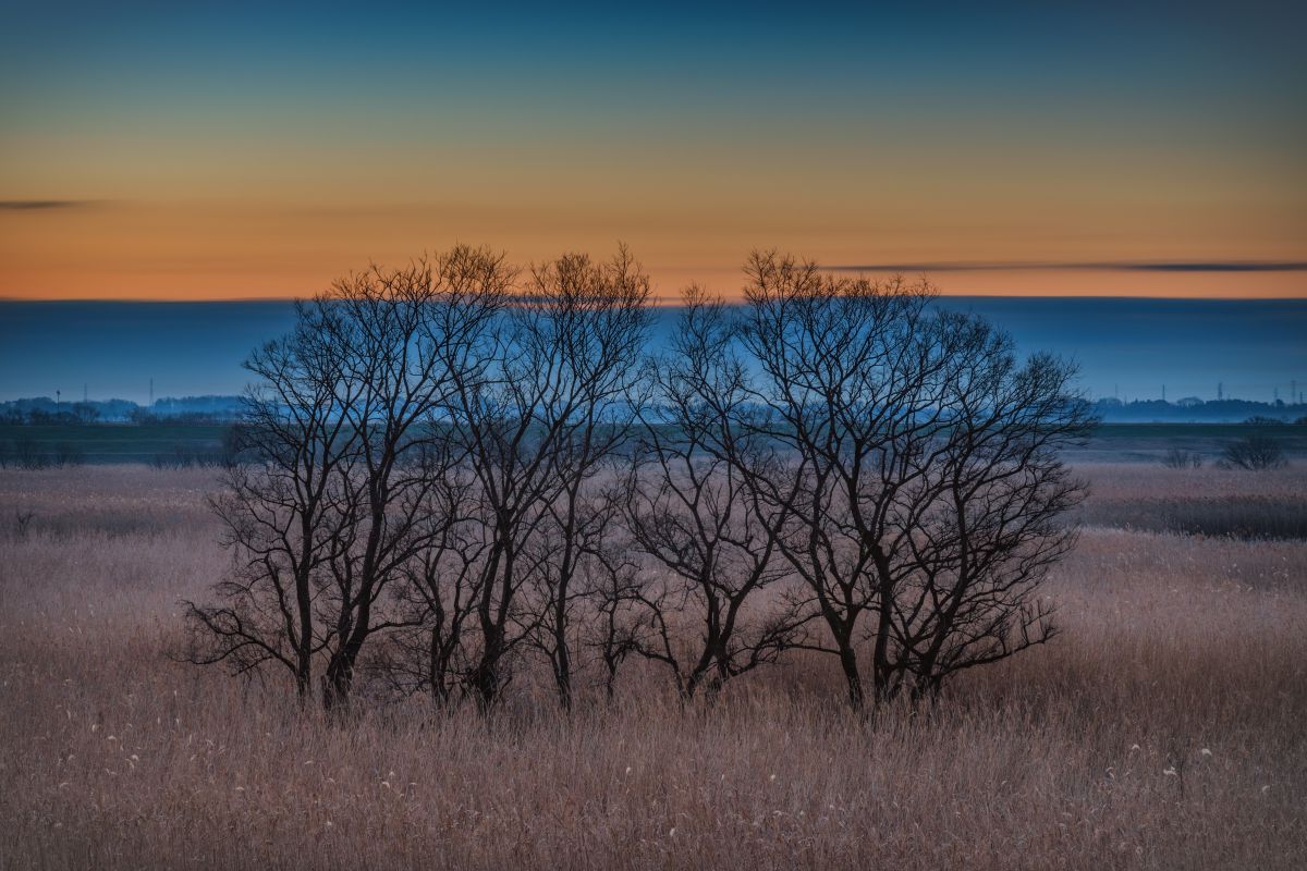 Watarase_20161231 | GANREF