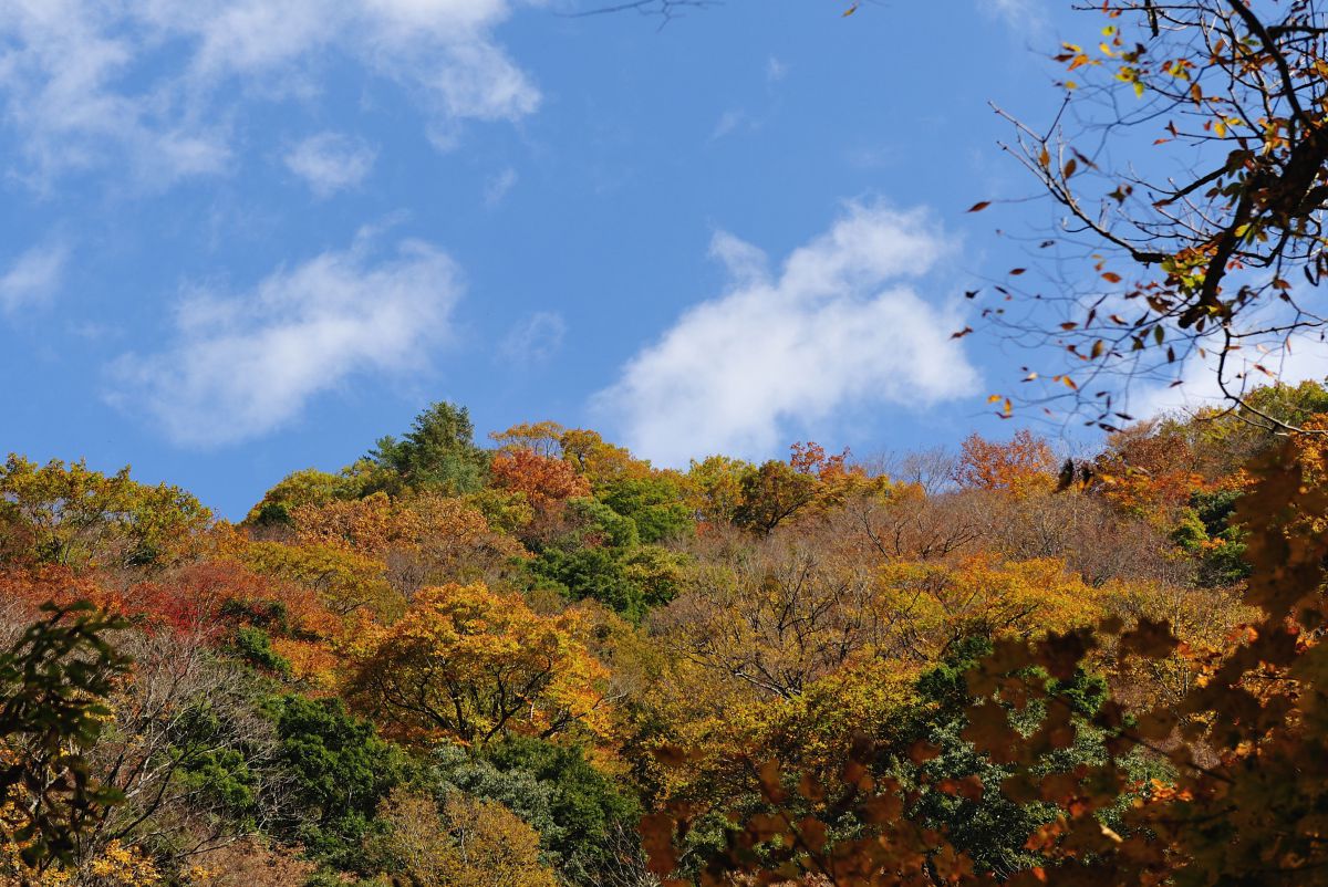 三段峡03 | GANREF