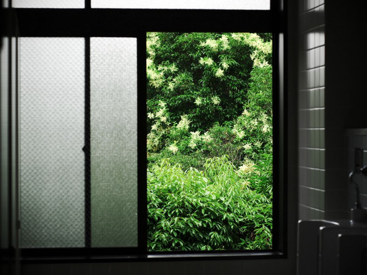 outside inside 01 | GANREF