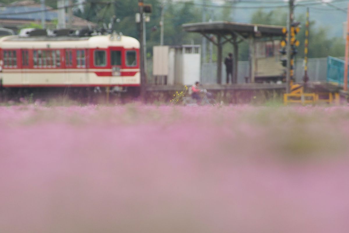 spring scene6 | GANREF