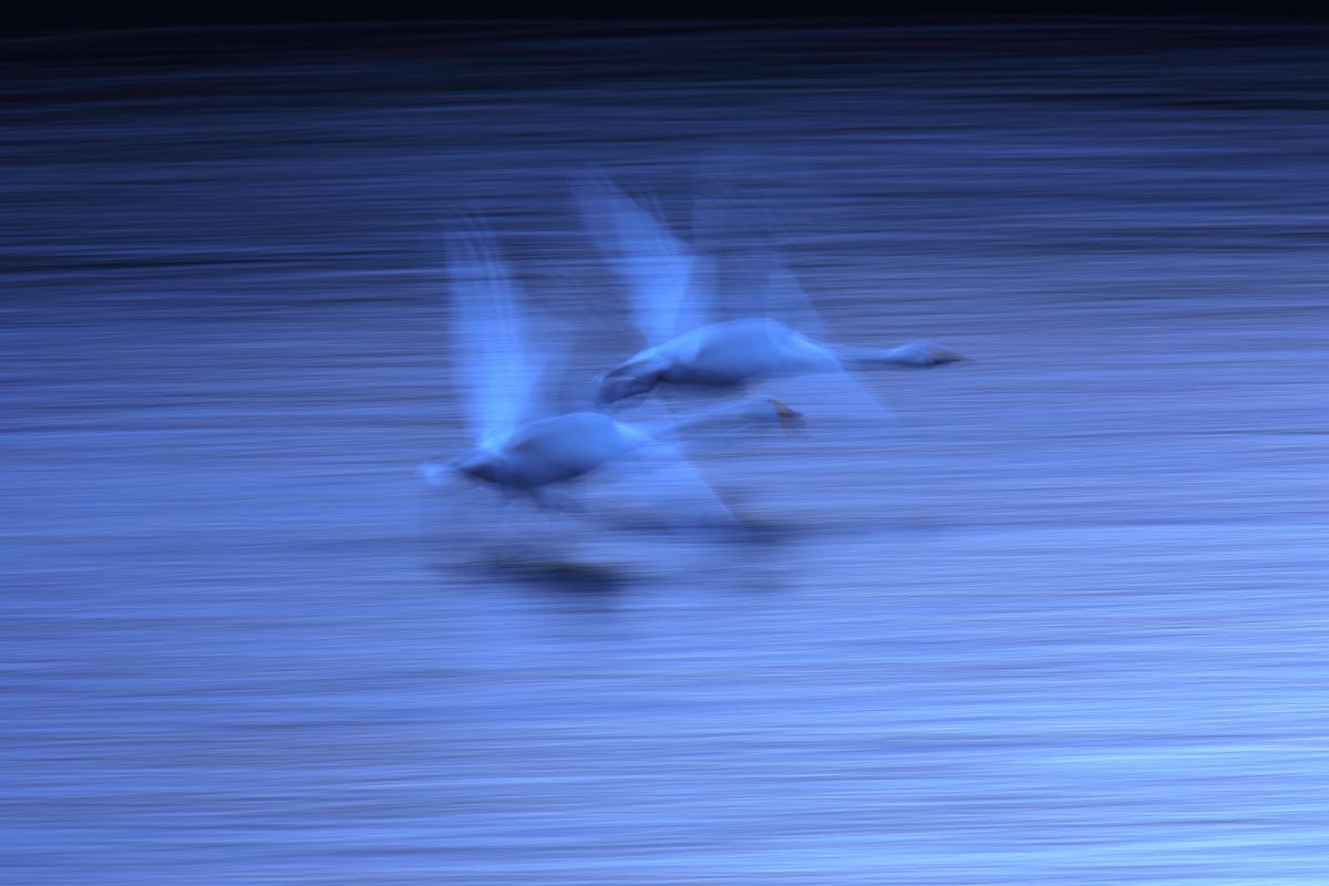 It runs through | GANREF