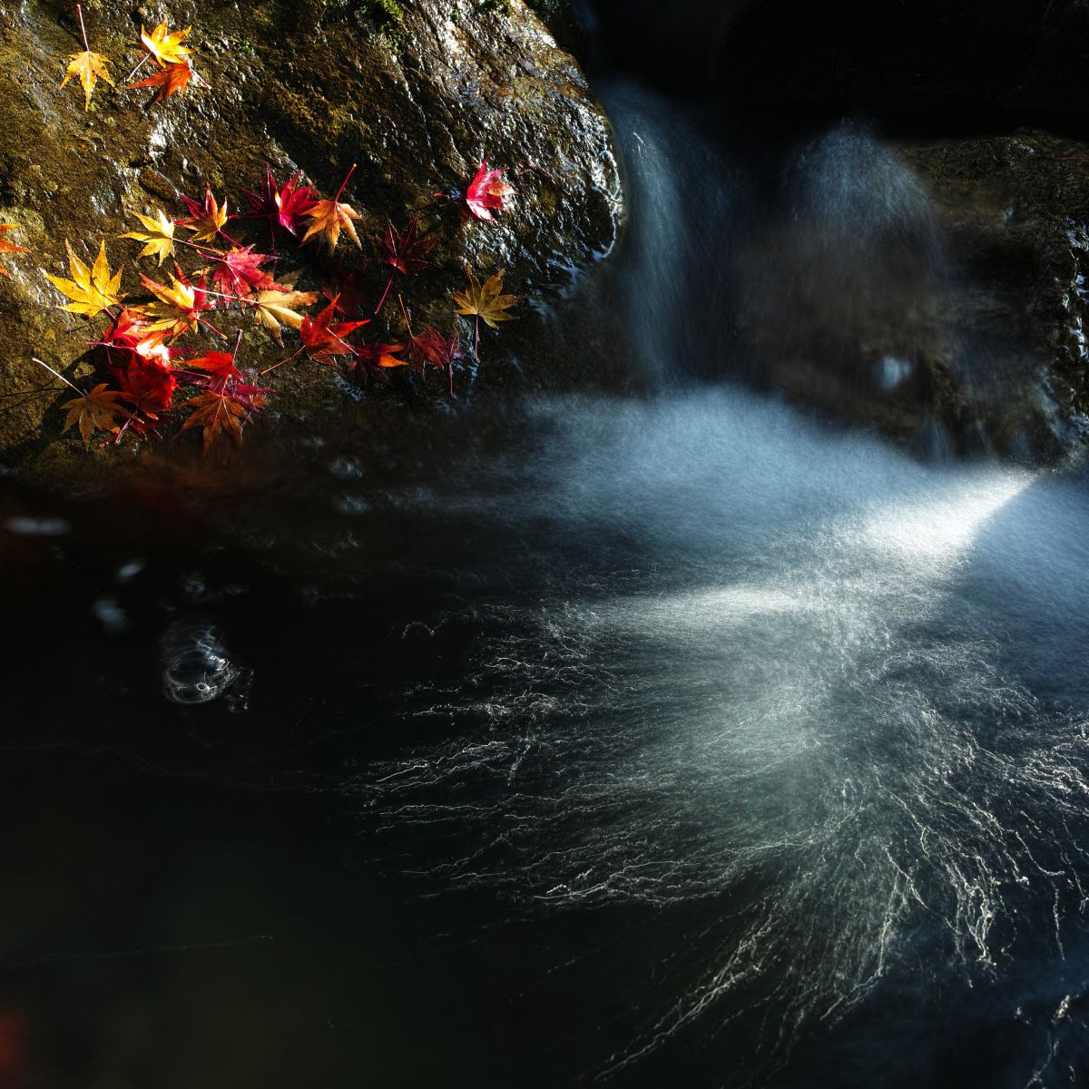 dreadfulness | GANREF