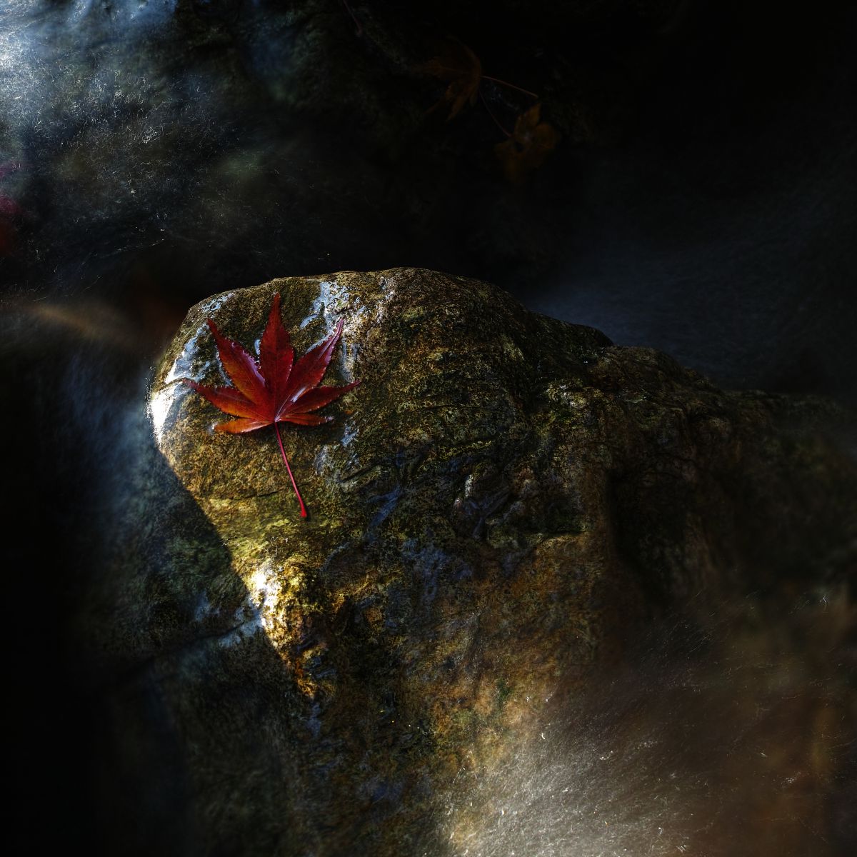 dreadfulness【紅一点】 | GANREF