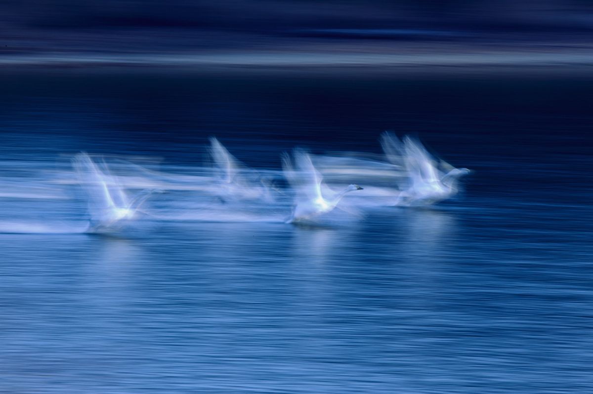 Flight team | GANREF