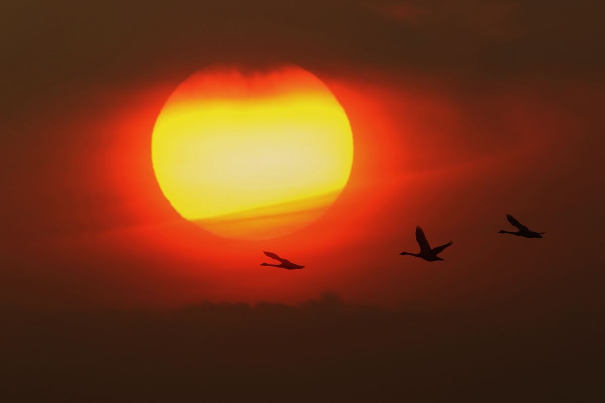 setting sun | GANREF