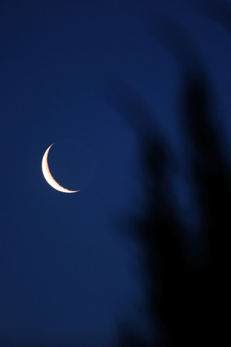 a horned moon | GANREF