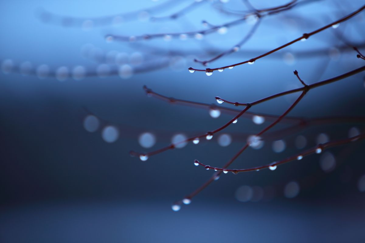 a single drop of rain | GANREF