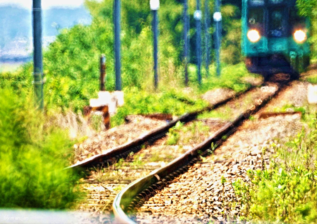 reflex image:炎天下 | GANREF