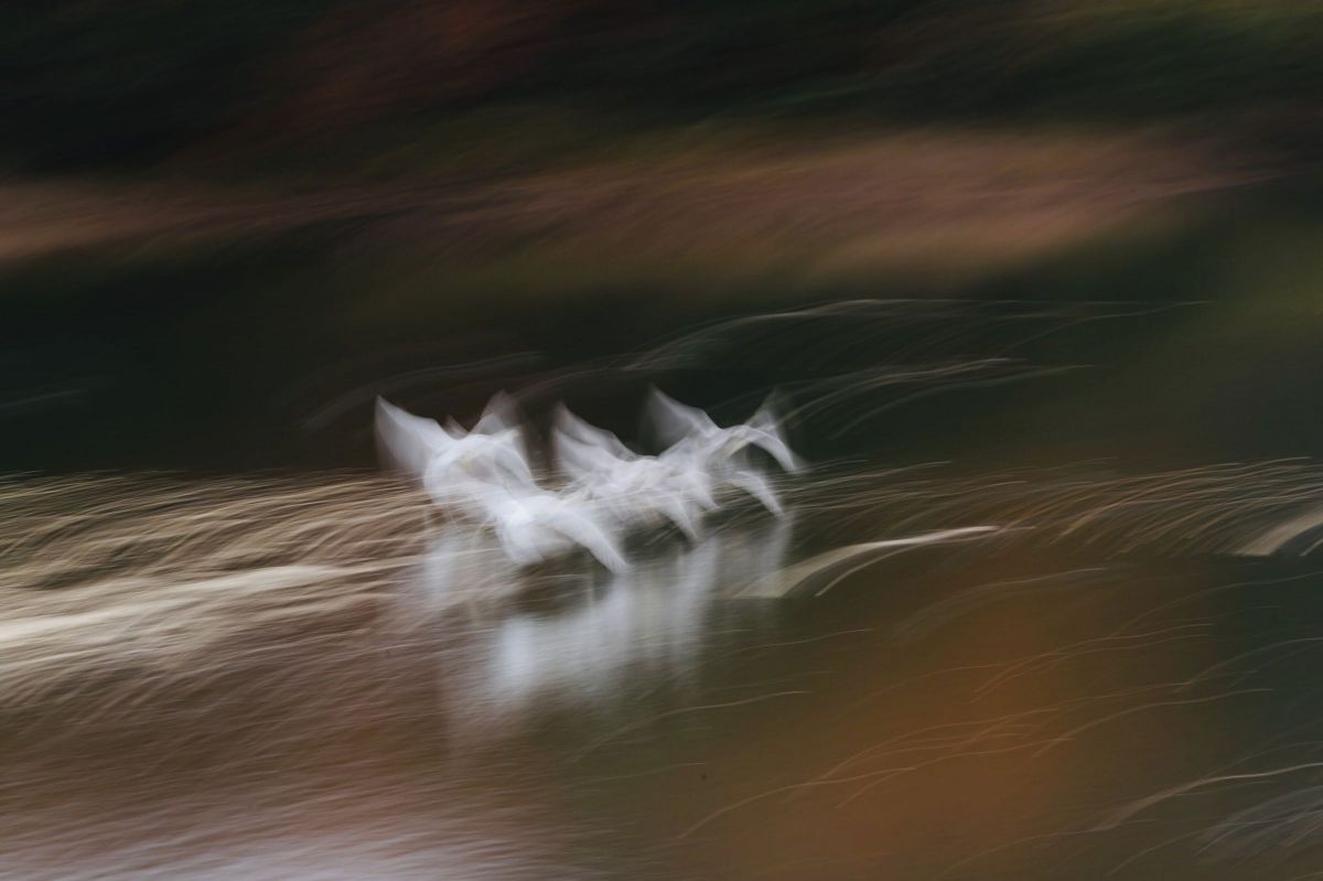 風の道 2019 No5 | GANREF