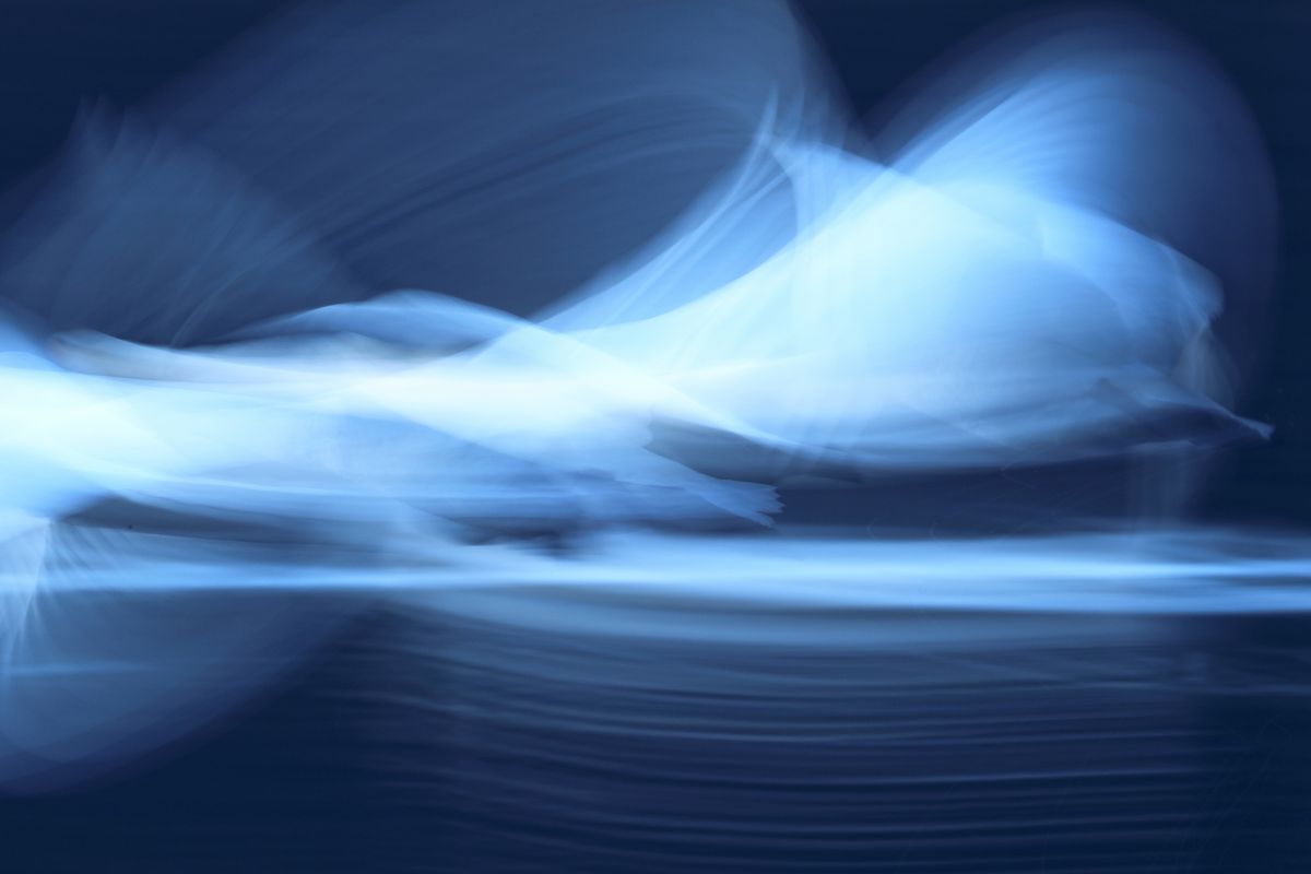 Slow motion | GANREF