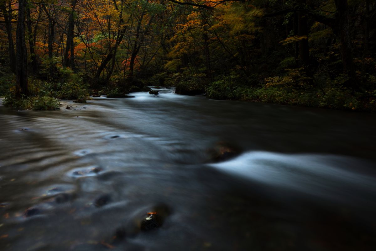 once more12 | GANREF