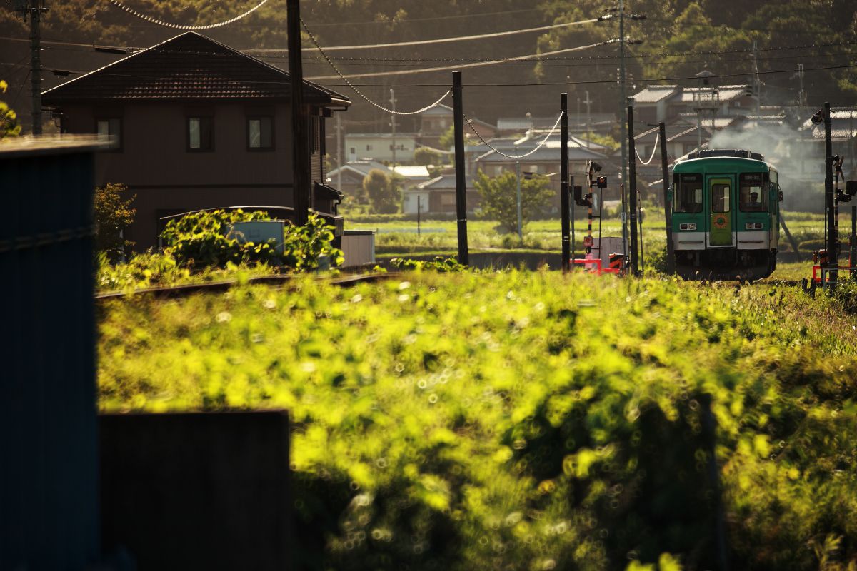 reflex image：強い日差し | GANREF