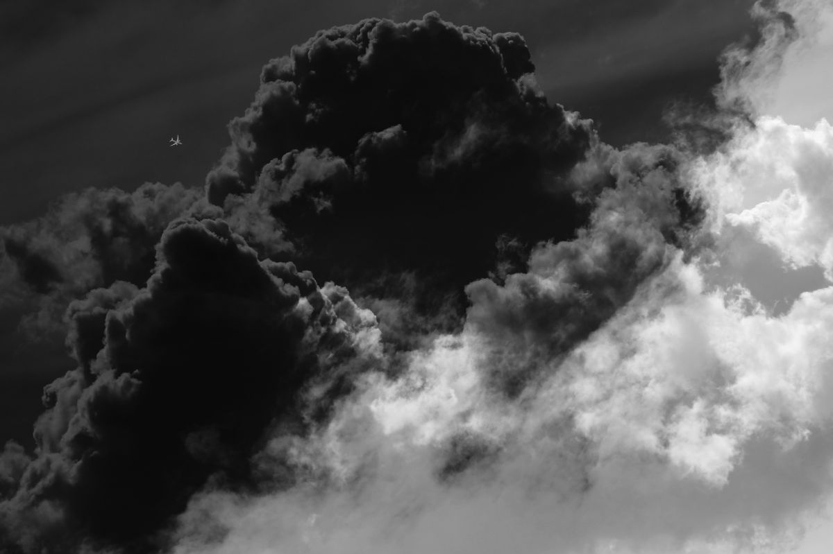 Godzilla suddenly turns up | GANREF