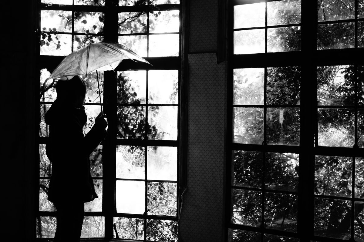 window screen | GANREF