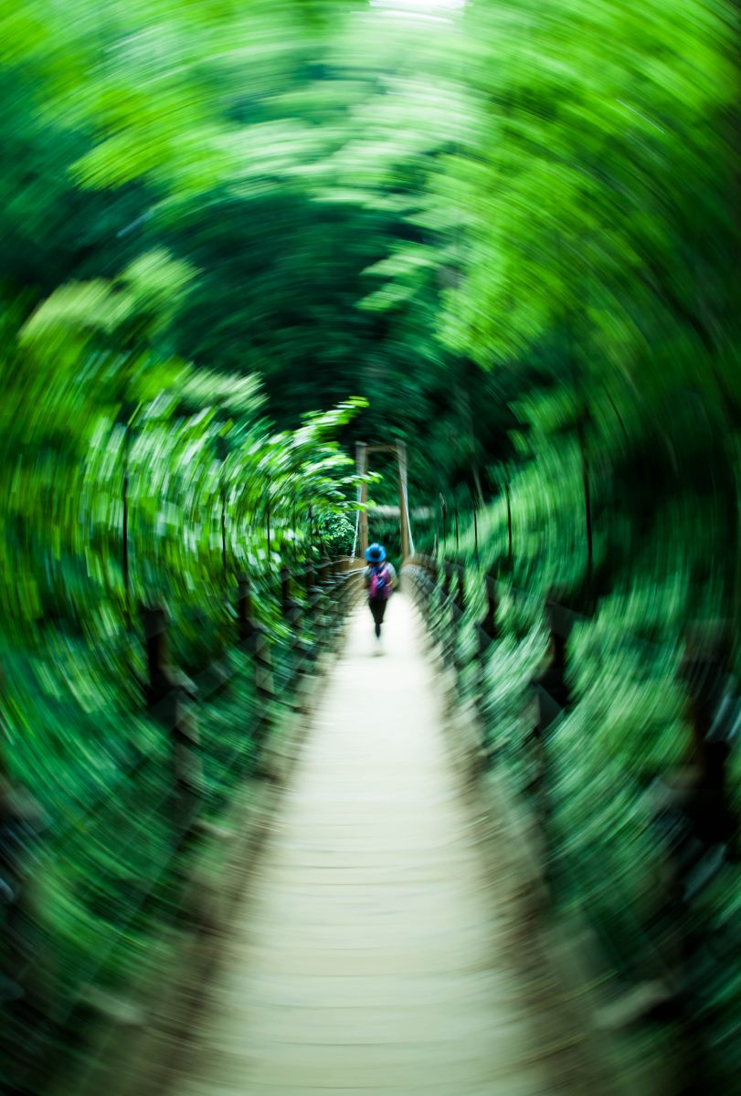 まるい世界 | GANREF