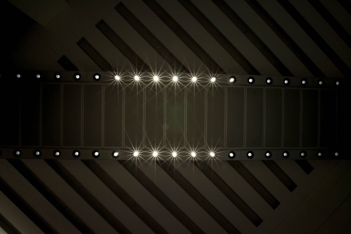 light and line | GANREF