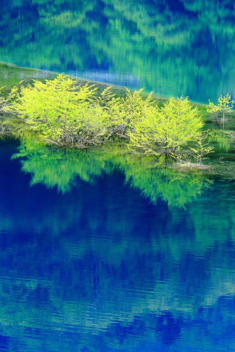 Mystic Blue | GANREF