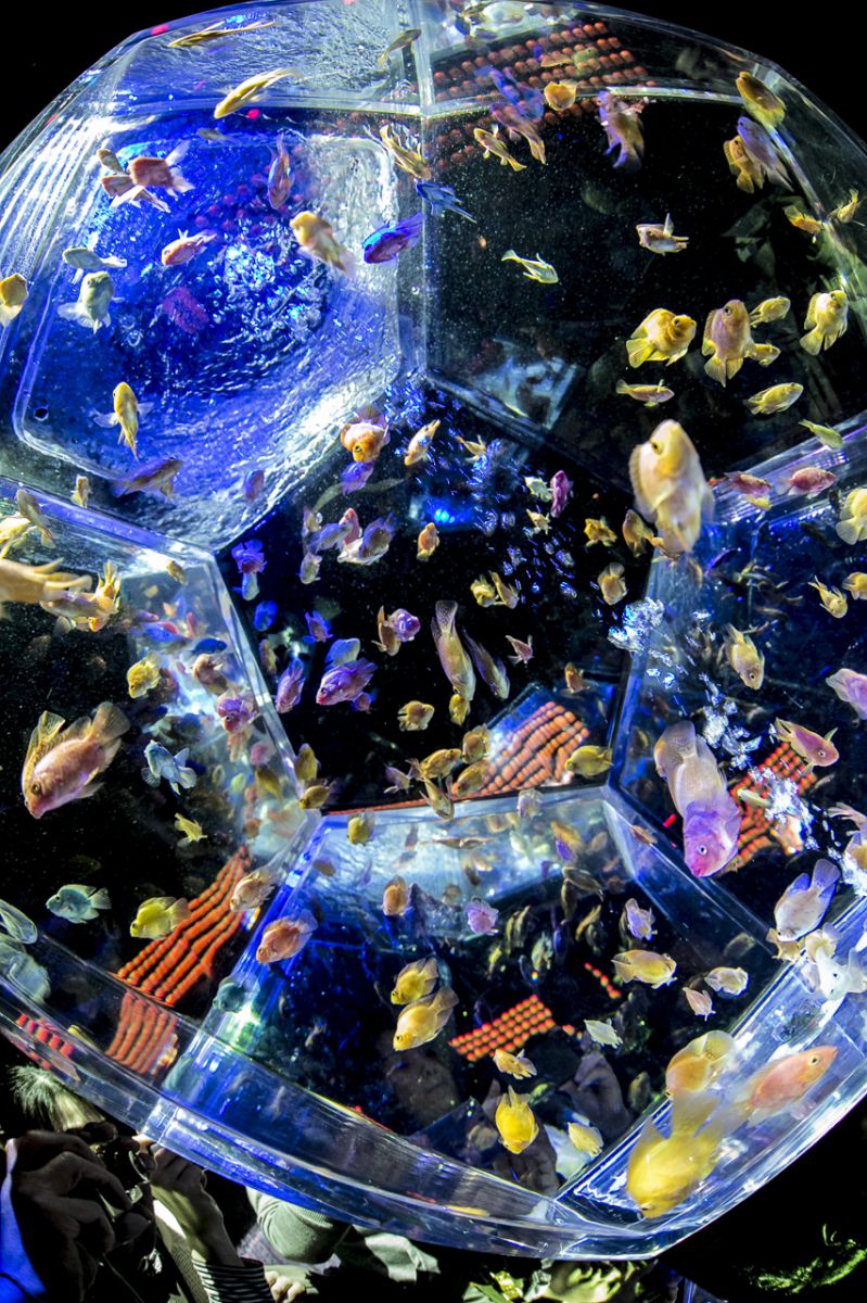 Water World | GANREF