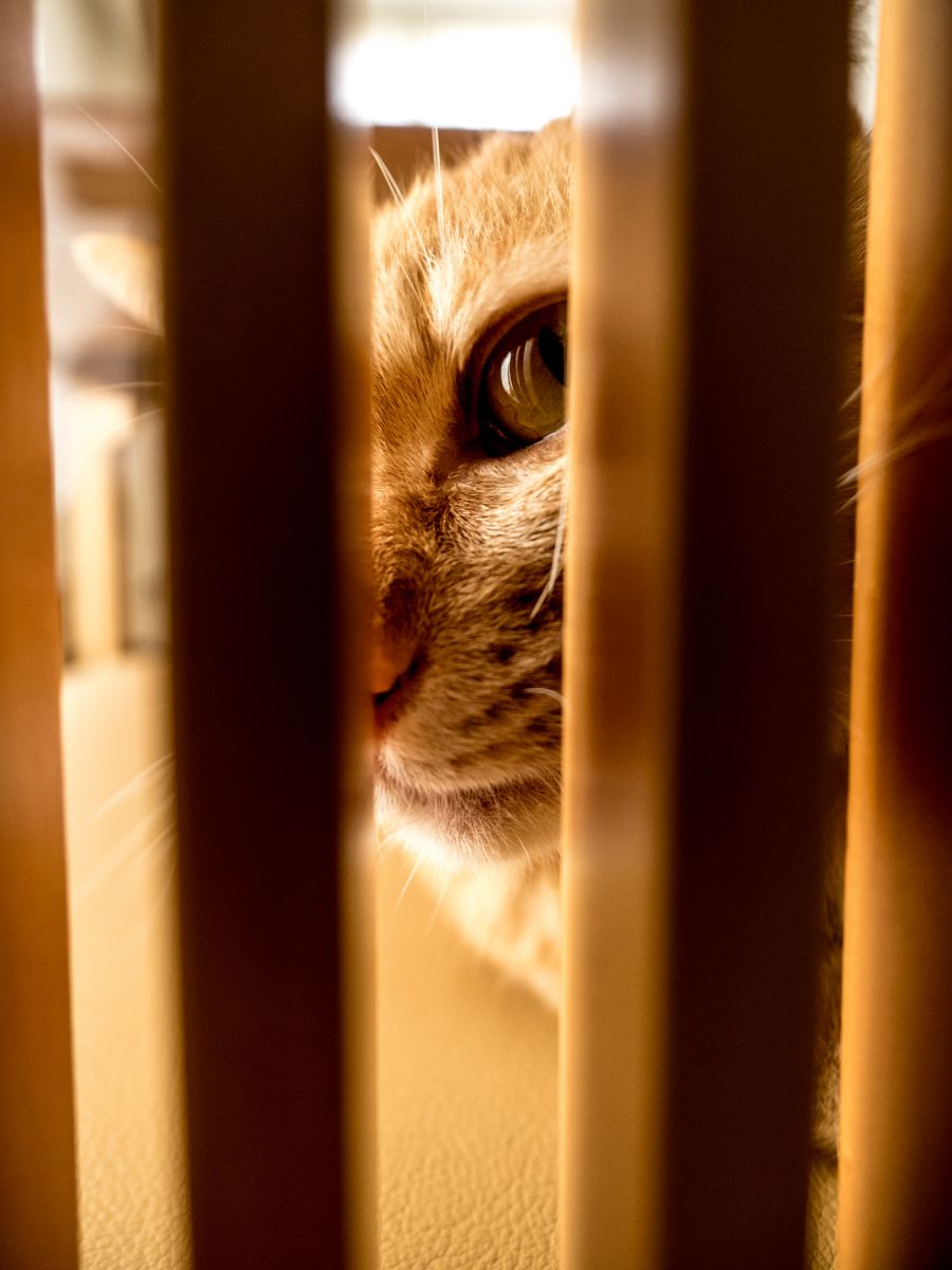 「いつまで撮ってんだよ！」 | GANREF