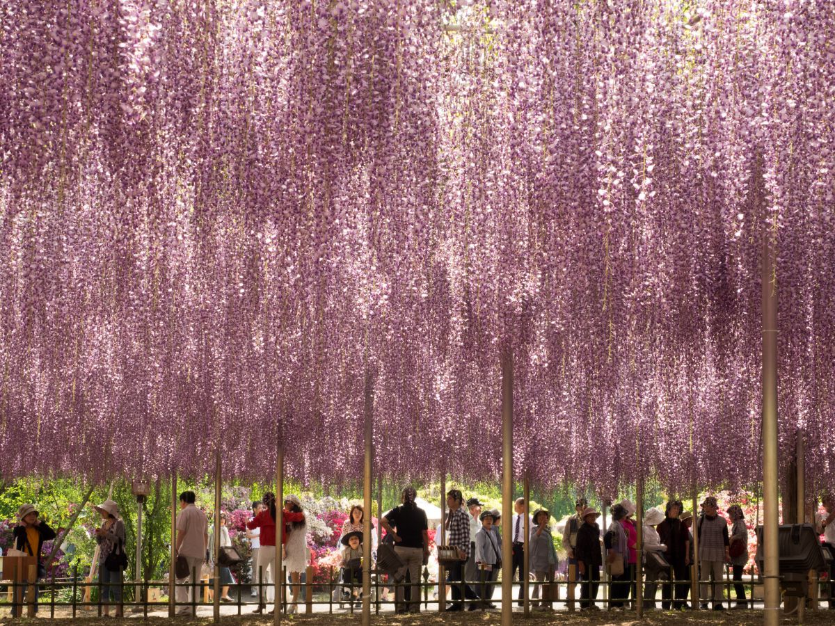 それぞれのGW | GANREF