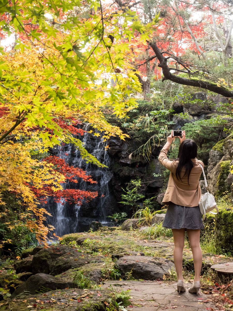 色付く頃 | GANREF