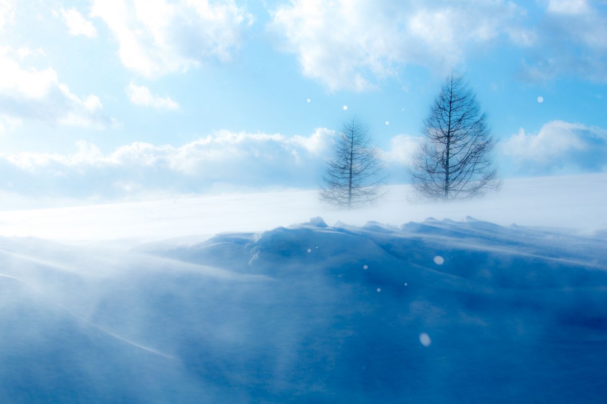 Blizzard Fantasy | GANREF