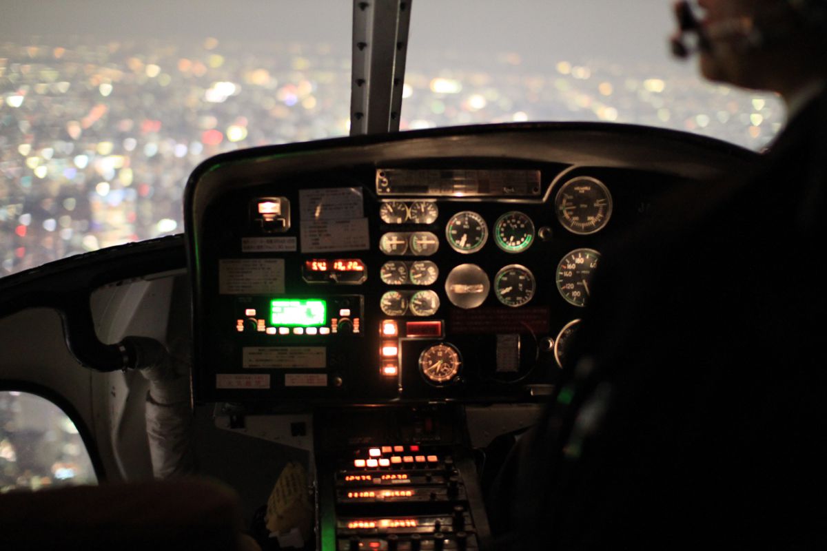 Beautiful flight | GANREF