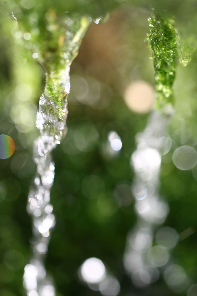 water world | GANREF