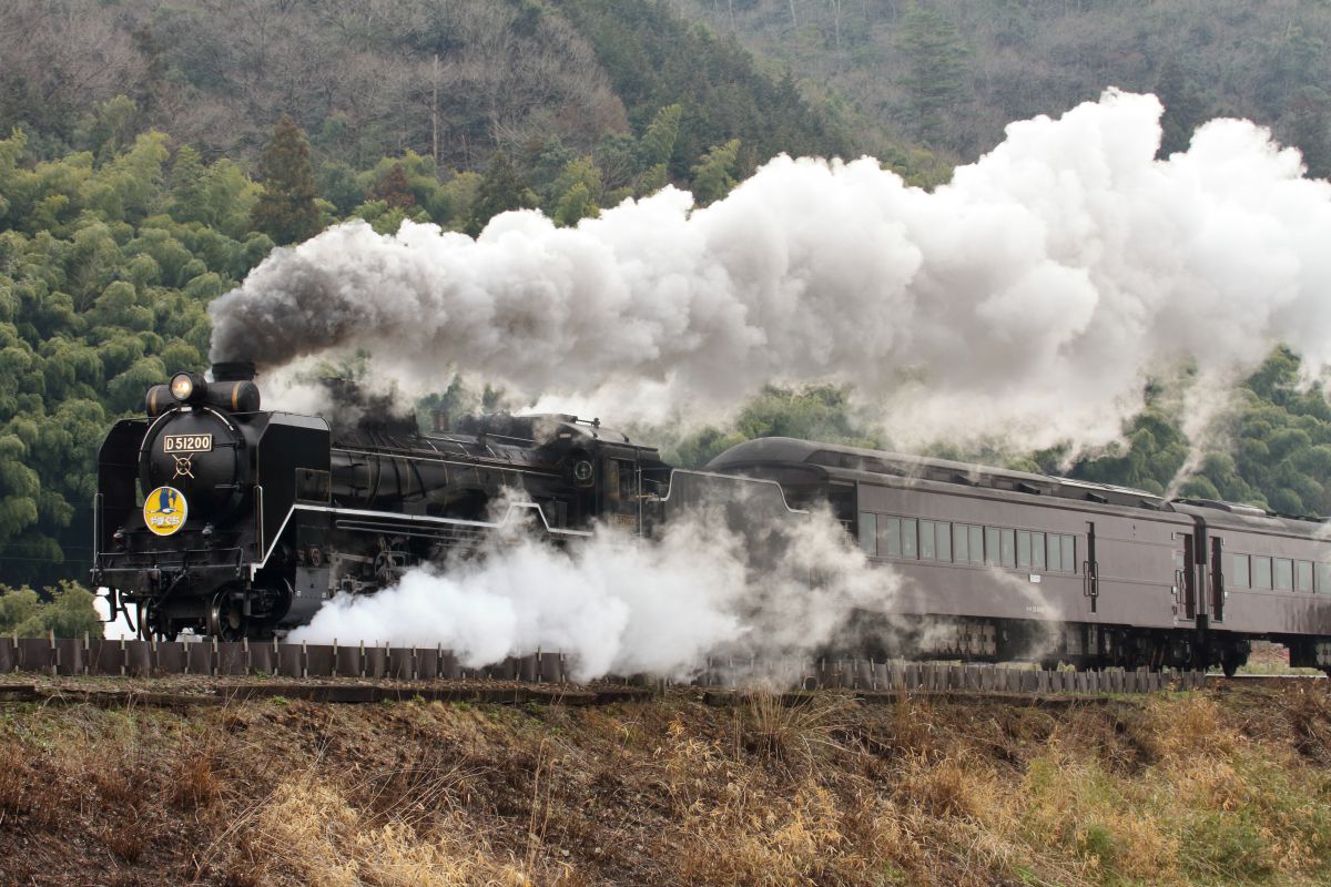 2019 1st-Run ④ | GANREF