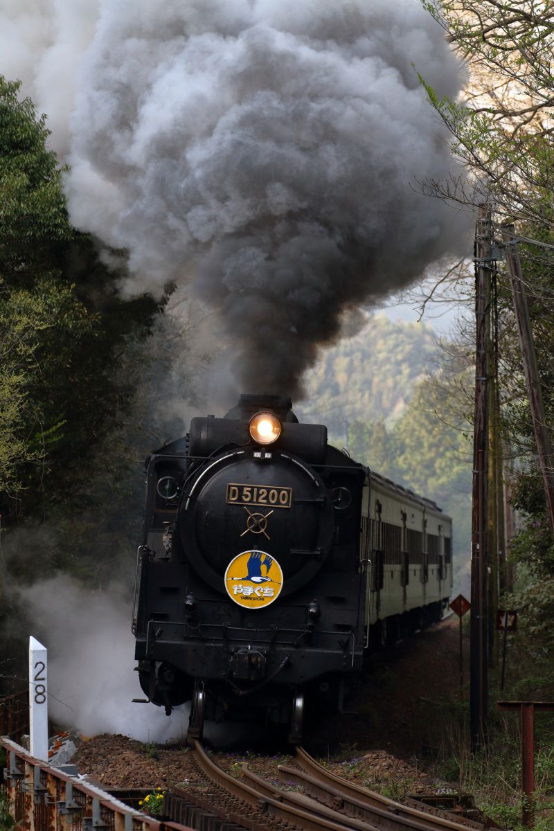 いつもの定番 | GANREF