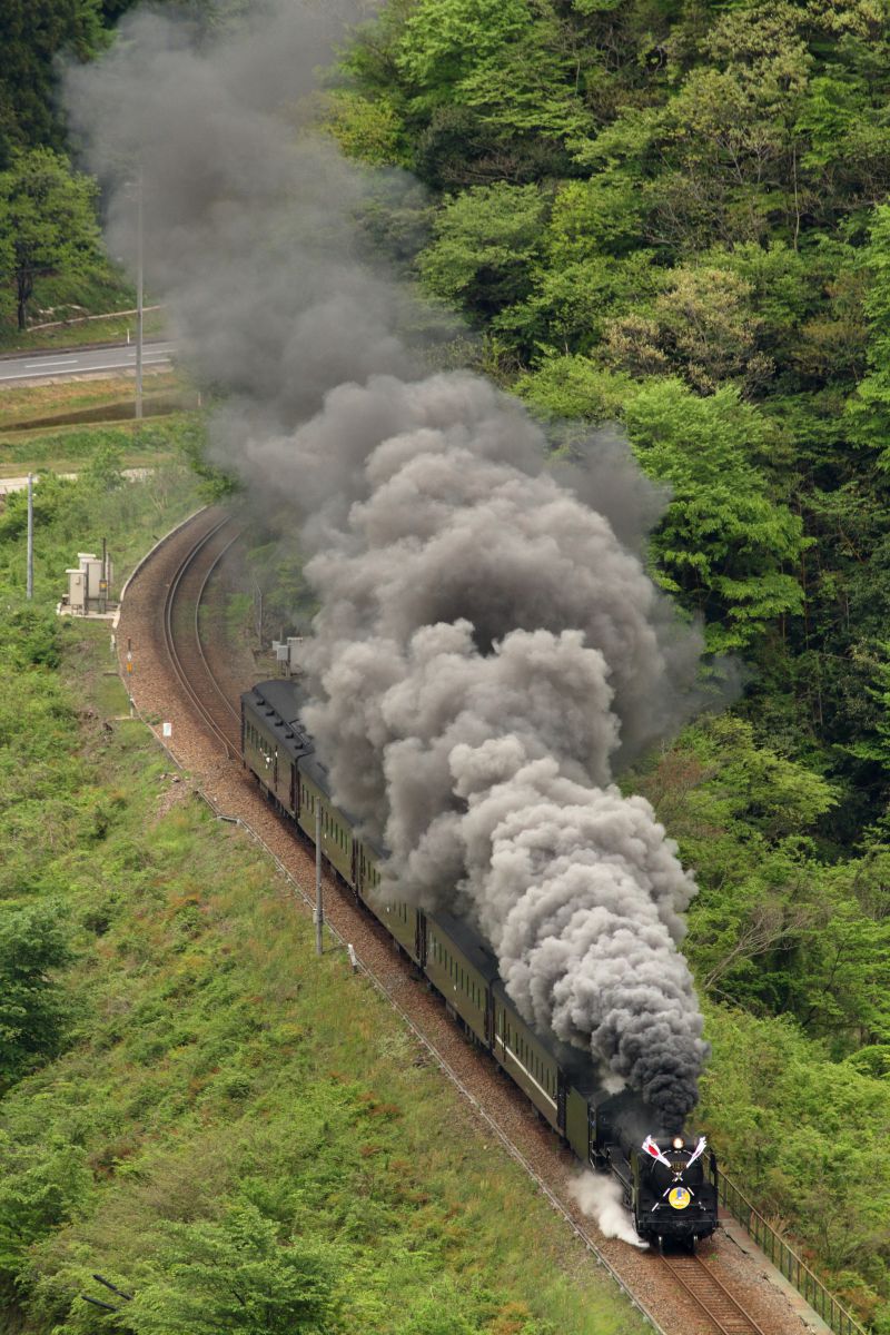 祝 令和_10 | GANREF