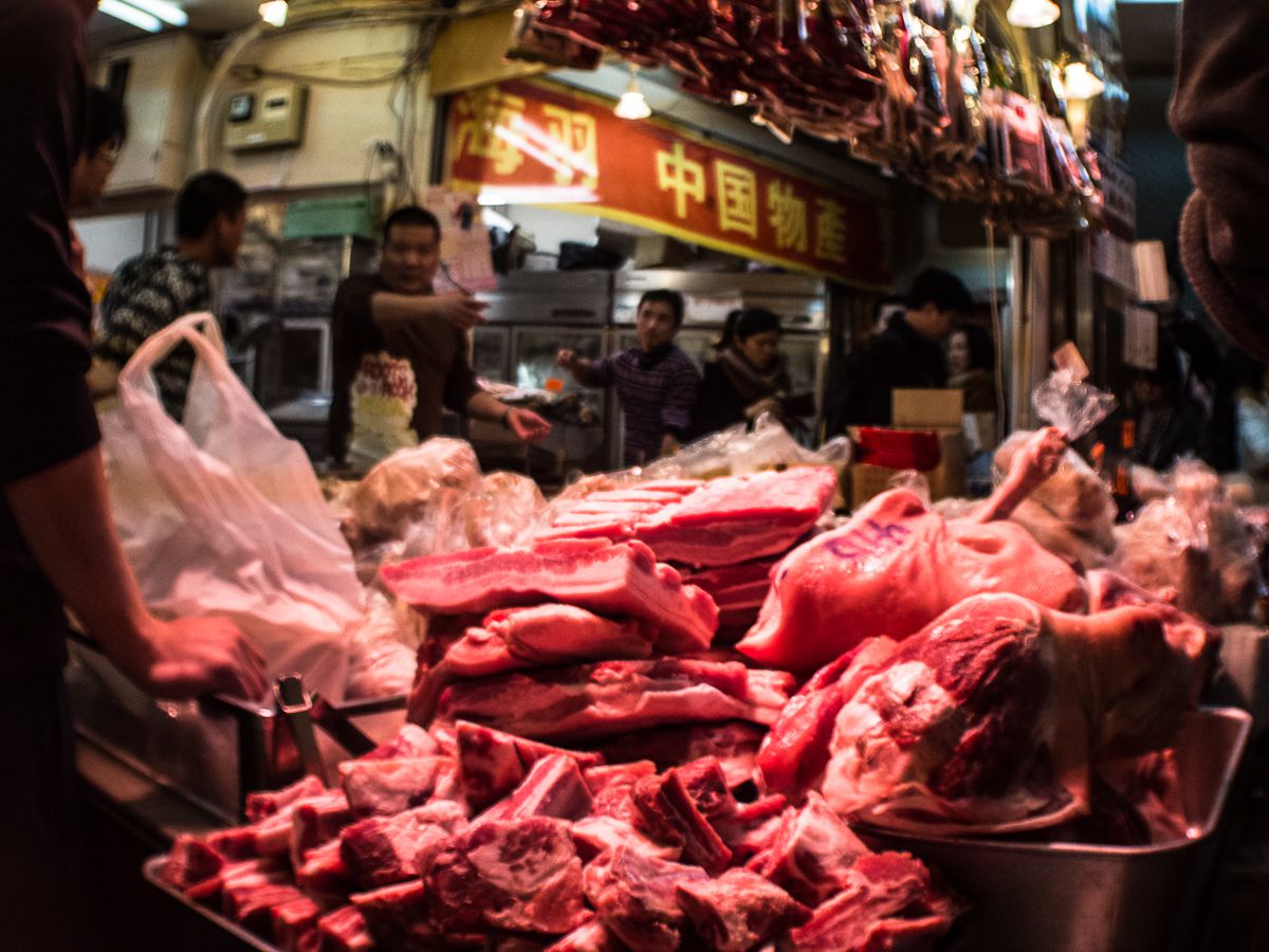 肉食国家 | GANREF