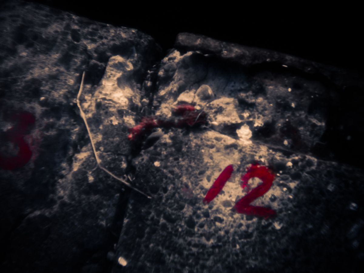 Mack The Knife | GANREF