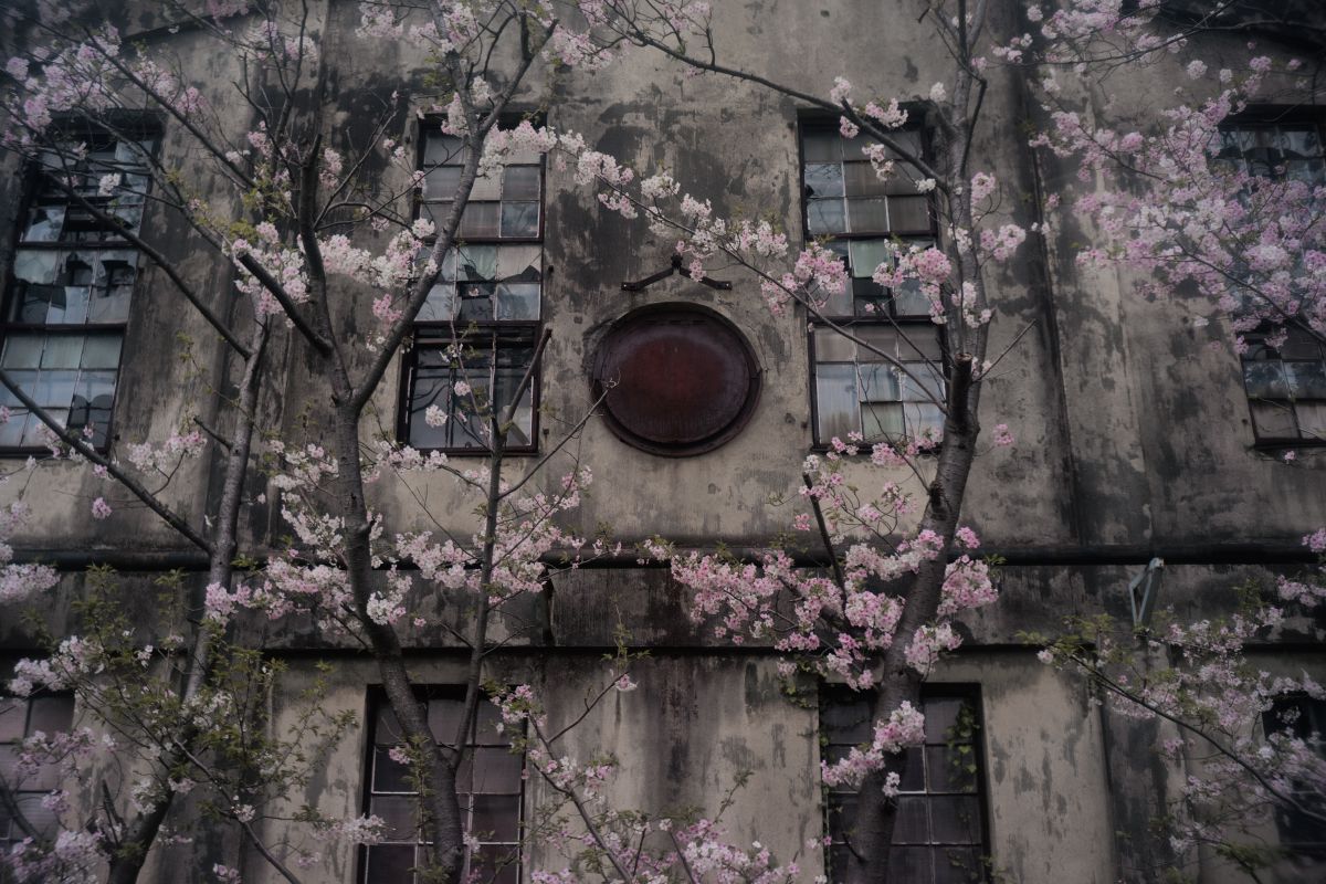 Hidden Beauty | GANREF