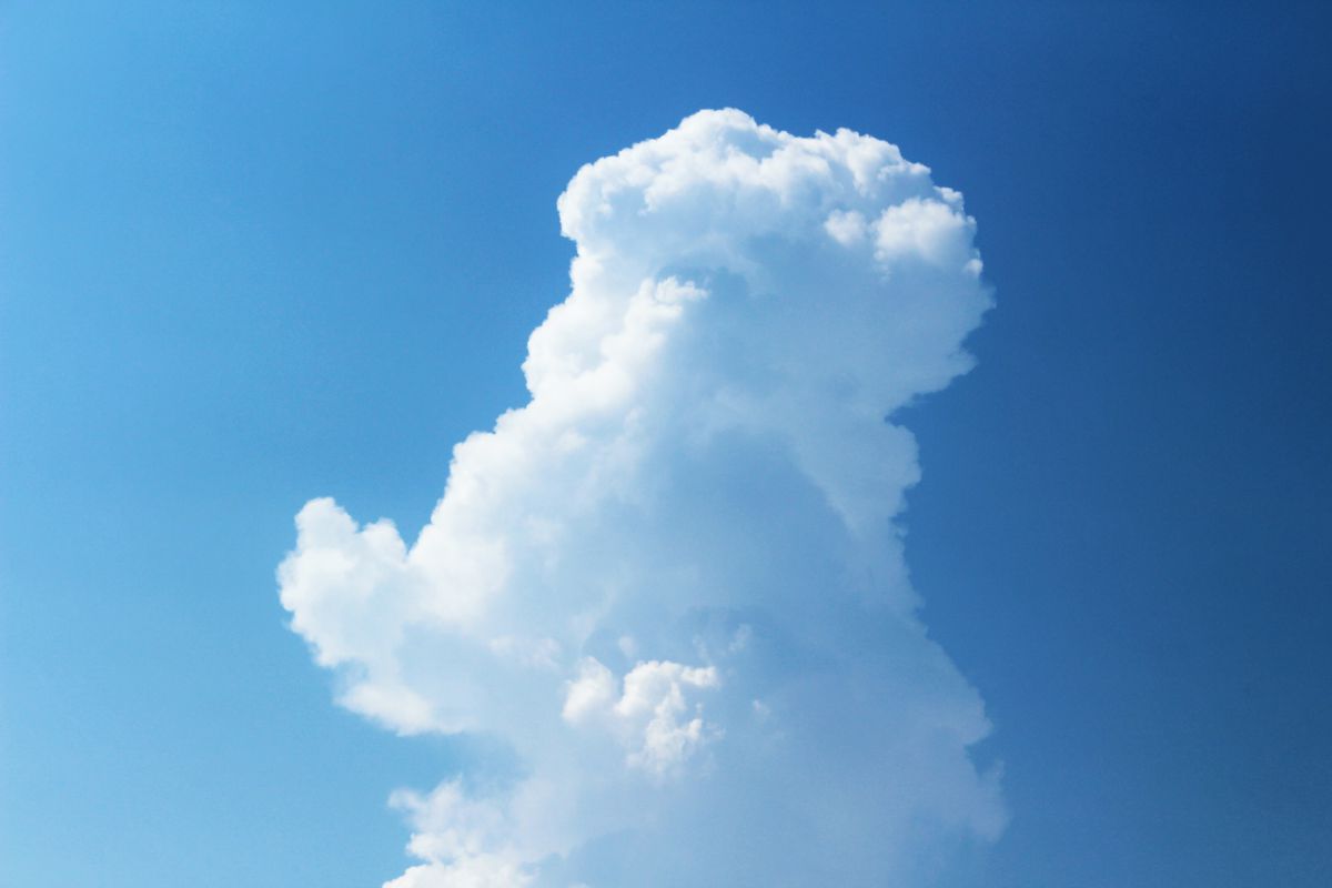 THE SUMMER CLOUD. | GANREF